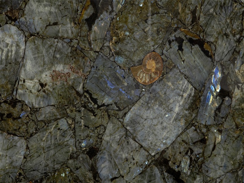 Labradorite Semi-Precious Stone Slab - China Marble, Granite, Quartzite ...