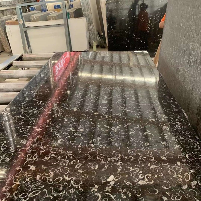 Sea Shell Marble - China Marble, Granite, Quartzite, Agate Manufacturer ...