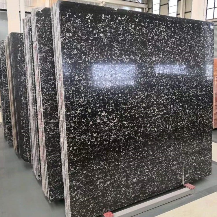 Sea Shell Marble - China Marble, Granite, Quartzite, Agate Manufacturer ...