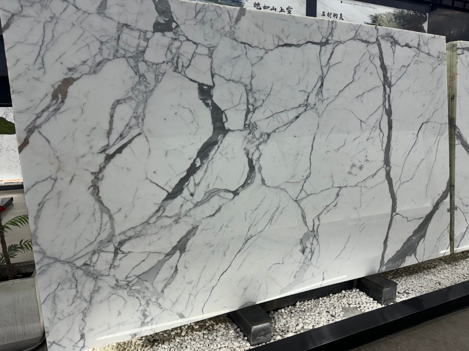 Top 3 Fish Belly Marbles: White, Gold & Grey in Design Trends